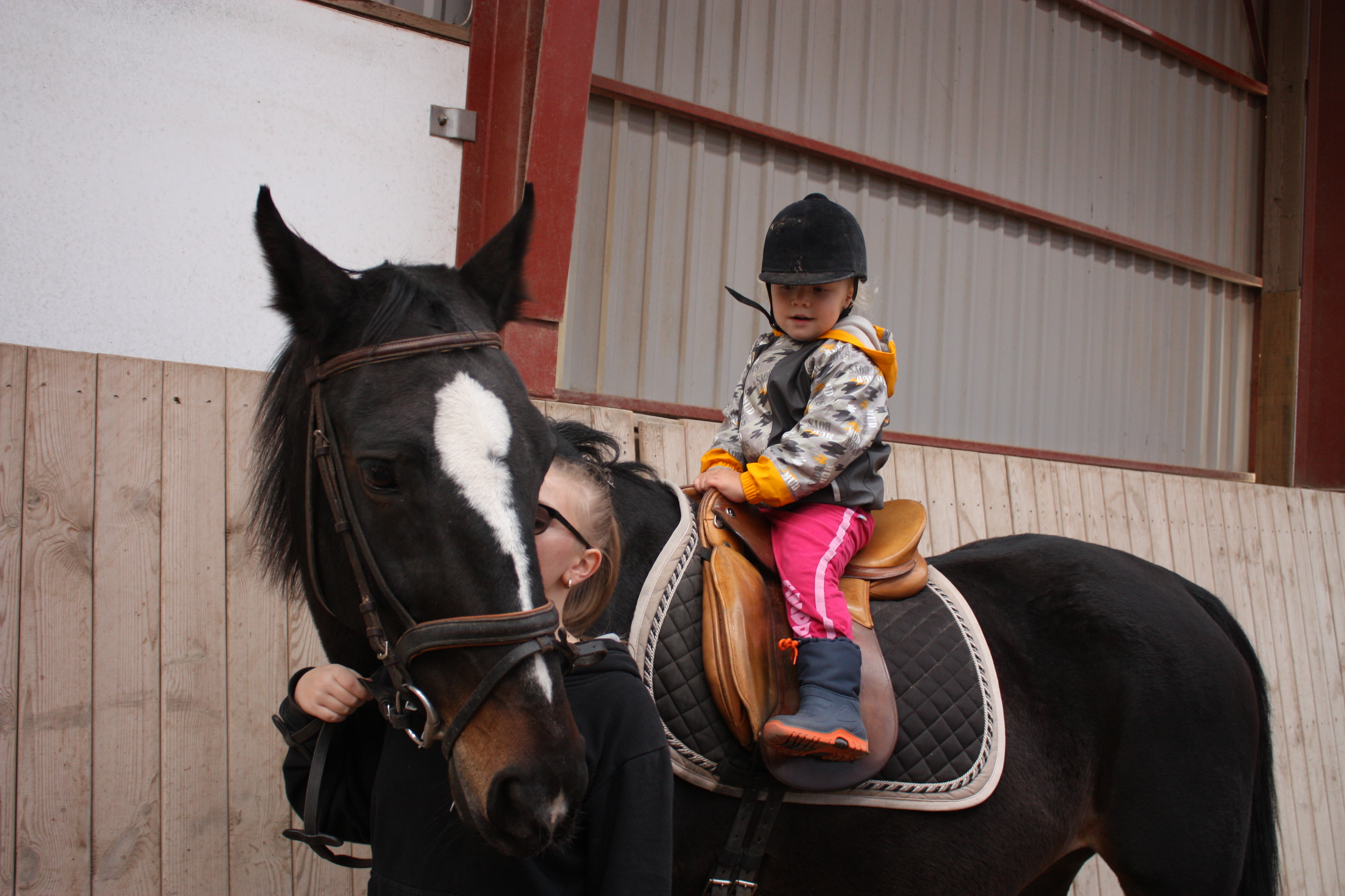 Rideskolen, 2016 | Brøndby Strand