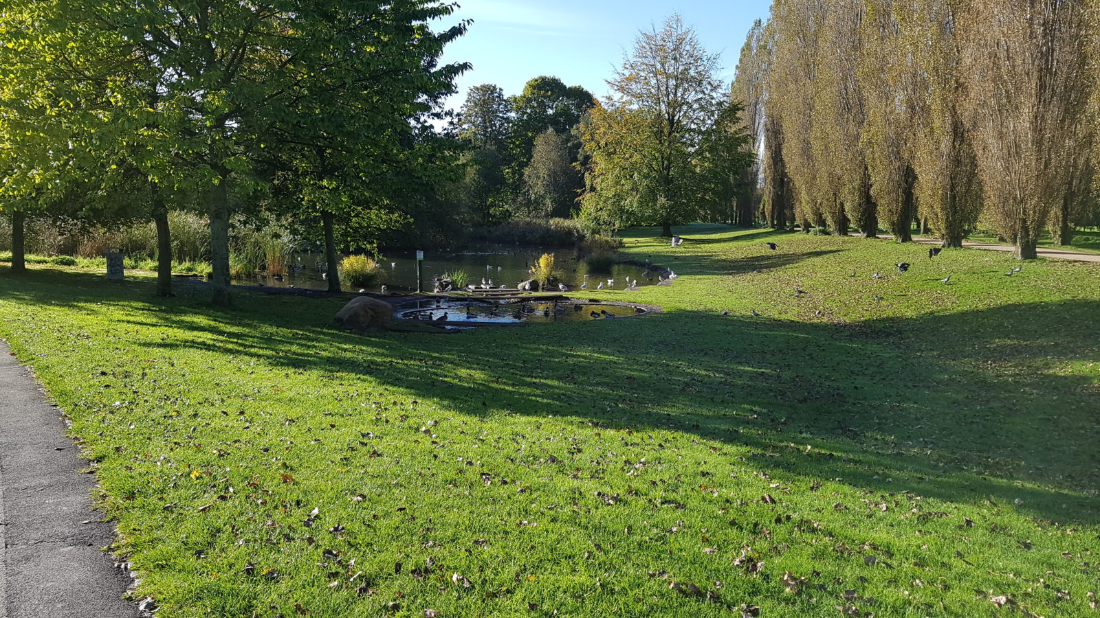 BS 2017-10-10 Valbyparken | Brøndby Strand