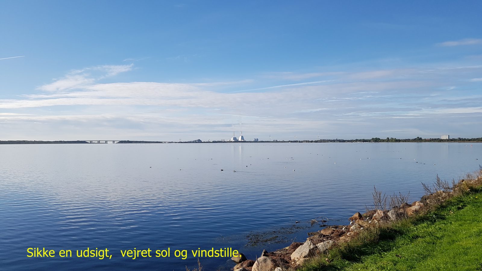 BS 2017-10-10 Valbyparken | Brøndby Strand